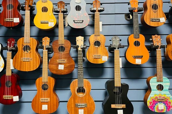 راهنمای خرید یوکللی ارزان قیمت [همراه با معرفی بهترین مدل + قیمت ...